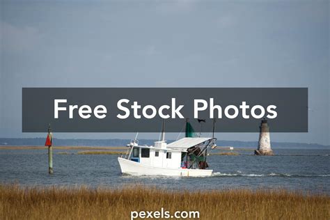 Prognostic Marker Photos Download The Best Free Prognostic Marker