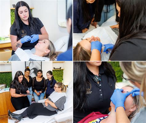 Models Aima Australia