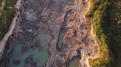 Evy Van Weezendonk On Linkedin Natures Resilience Is Genuinely