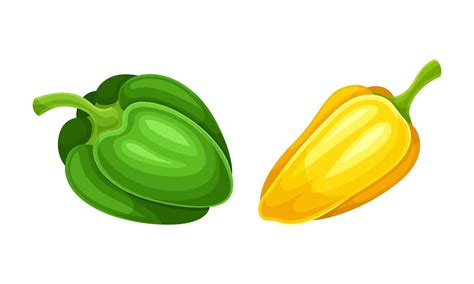 Green And Yellow Pepper Fresh Organic Vegetable Set Illustration