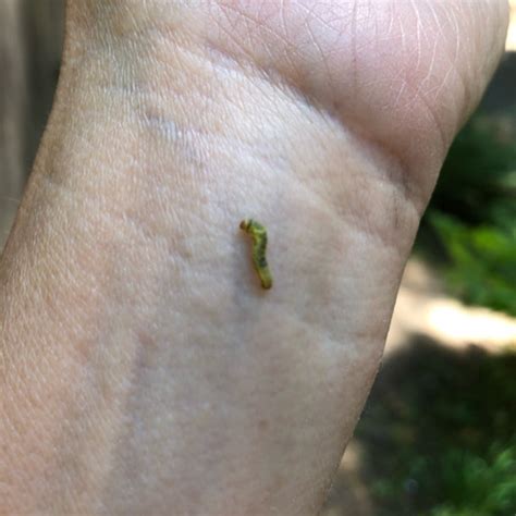 Styro Sideblog V2 Styro2sideblog Tumblr Blog Tumlook