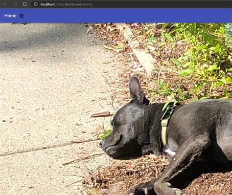 Cascading Style Sheets Powershell Universal