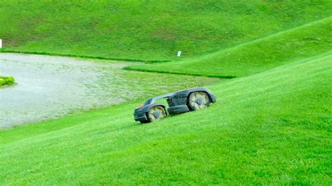 Robot Automatic Lawn Mower Mows The Grass Stock Footage Video Of