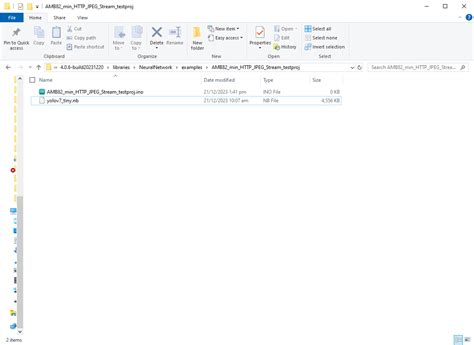 Amb82 Min Customized Ai Model Amb82 Mini Realtek Ameba Iot