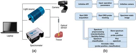 A Drs Instrumentation And B Workflow For Ex Vivo Data Acquisition