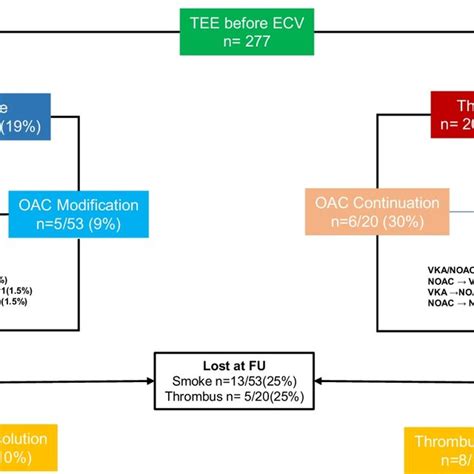 Patients Flowchart Of The Laa Echo Contrast And Thrombus Incidence