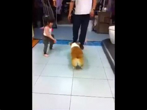Swiggity Swooty Shake Yo Booty Reyebleach