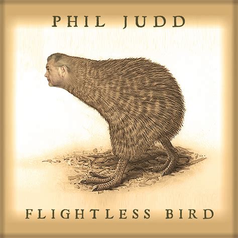 Flightless Bird ~ 2019 Solo Album Phil Judd Phil Judd