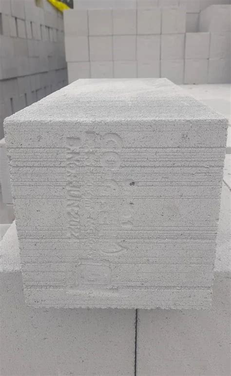 Ecolite Aac Block 600mm X 200mm X 100 Mm At ₹ 45piece In Nashik Id