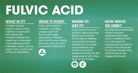 Everything You Need To Know About Fulvic Acid Unfiltered Perspectives
