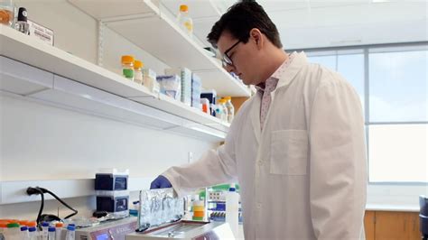 Video Fish For Gene Amplification Assessment In Formalin Fixed