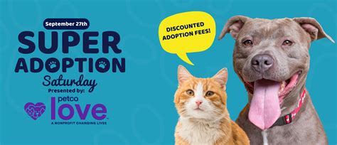 Alive Rescue Alive Rescue Added A New Photo Alive Rescue Alive Rescue Added A New Photo