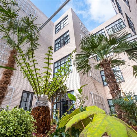 Uk Net Zero Strategy Totally Lacking In Ambition Say Architects