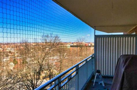 Bird Netting Systems Installation 1993422849 Home