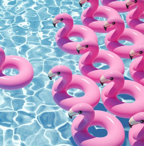 Jcc Staff Pool Party Mayerson Jcc