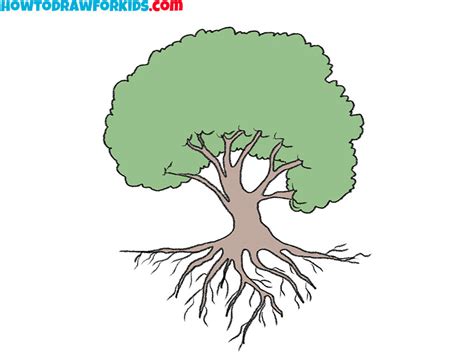 Tree Drawings With Roots