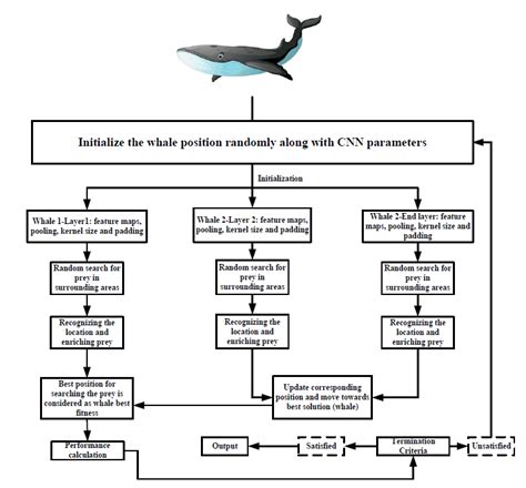 scielo brasil a novel deep learning based whale optimization