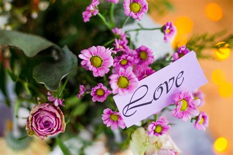 Love Flowers Definition At Tayla Sligo Blog