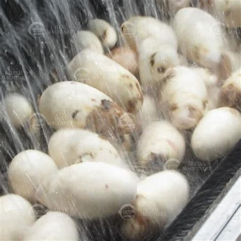 Cassava Processing Peeling Chipping Machine Cassava Chips Making Machine Qp 80hx 05 Hexu