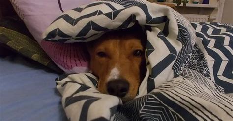 Spioch Album On Imgur