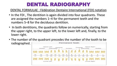 Rdg4011stsem Dentalradiography 180219135013pdf
