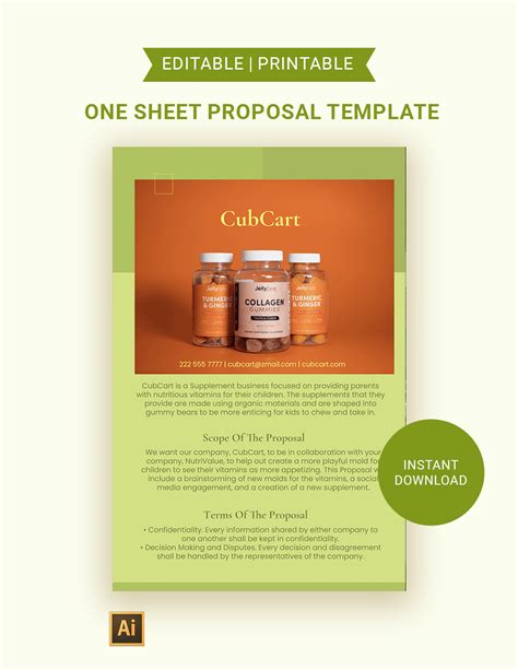 Free One Page Proposal Templates Editable And Printable