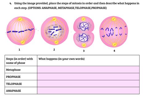 Answered 4 Using The Image Provided Place The Bartleby