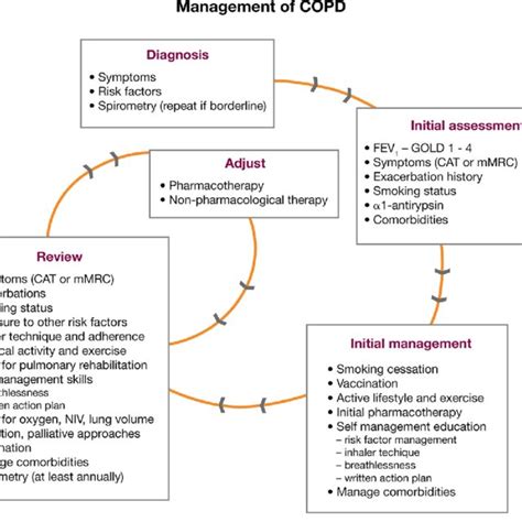Management Of Copd Cat Copd Assessment Test Copd Chronic Obstructive