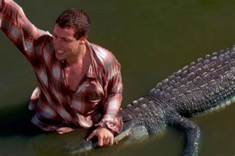 Murió Morris El Caimán Que Actuó Junto A Estrellas Diario El Norte San Nicolás