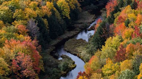Michigan Fall Foliage 12 Places For Fall Colors In Michigan