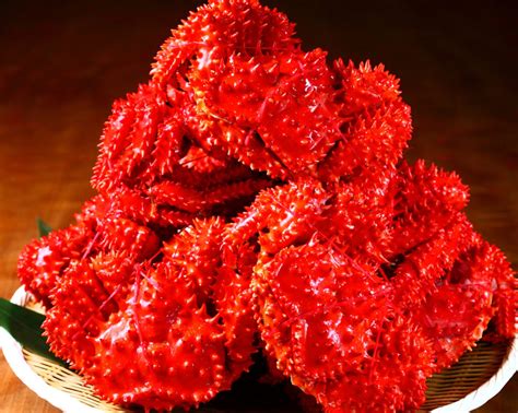 [kita No Aji Oosuke] Hanasaki Crab Course Sapporo Susukino Seafood Izakaya Oosuke Official