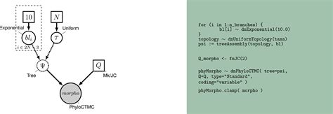 Discrete Morphology Models And Tree Inference • Systematicsclass