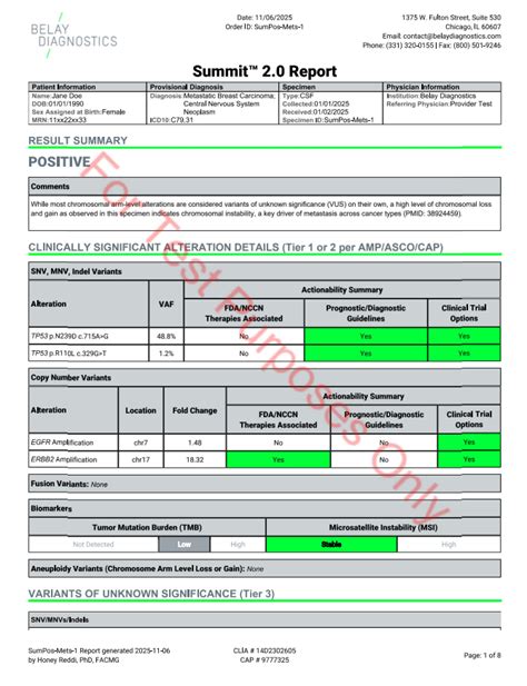 Sample Test Reports Belay Diagnostics