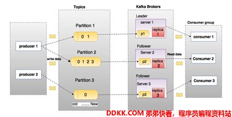 Kafka 基础 弟弟快看 教程