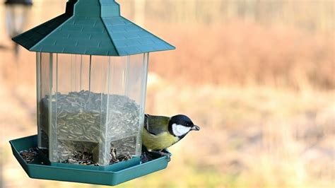 How To Make Your Own No Spill Bird Feeder Bird