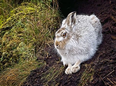 Om System Om 5 Camera Review Sams Photo Gallery