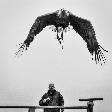 Stephenscharf2 This Week In Photo Twip