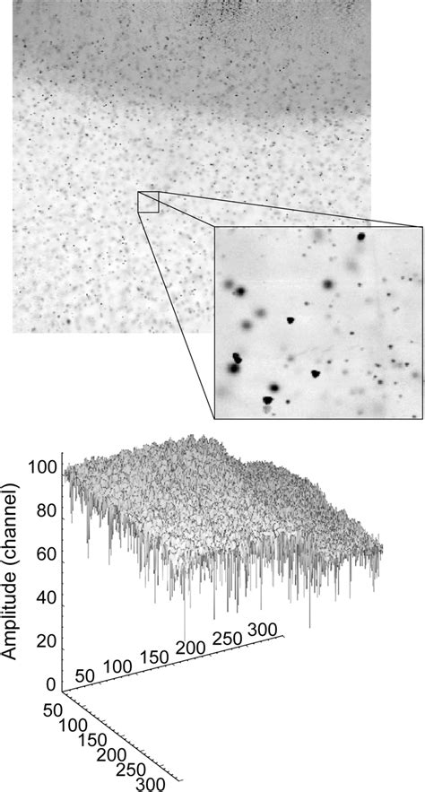 High Spatial Resolution X Ray Response Map Top Measured For A Cm Download Scientific Diagram