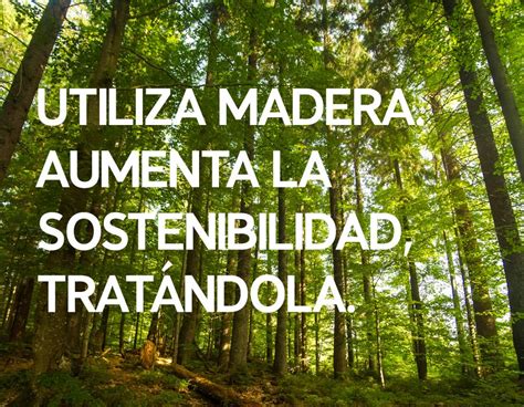 Sostenibilidad Impregna Madera Como Material Sostenible