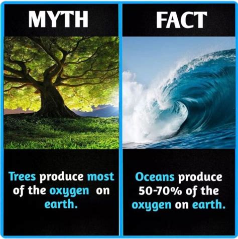 Mythvsfact Deepak K Singh