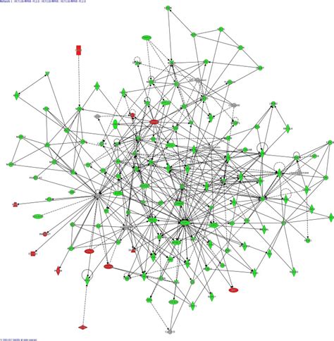 Microarray Gene Expression Profiling In Colorectal Hct116 And