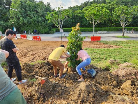 Gaea Forest Inland And Wetland Afforestation