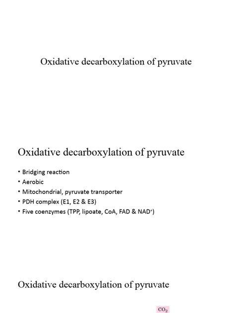 Pyruvate Oxidation Pdf