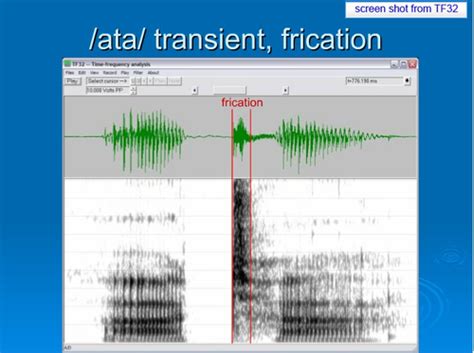 Acoustic Analysis Of Consonants Flashcards Quizlet