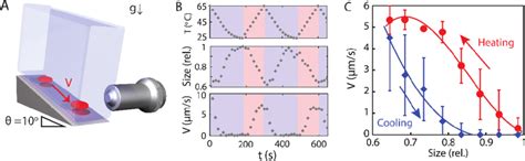 Fig Figure 2 Sliding Experiments And Friction Hysteresis A Download Scientific Diagram