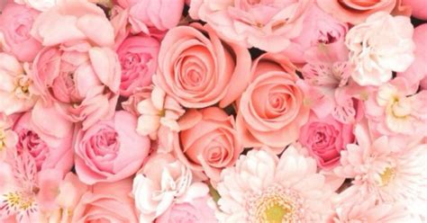 Riri〜りり〜🙈🍎｜note