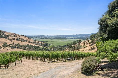 Provence Inspired Vineyard Estate In Napa Valleys Wine Country