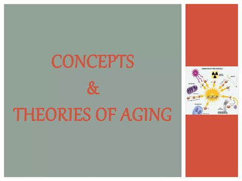 Aging Theory Pptx