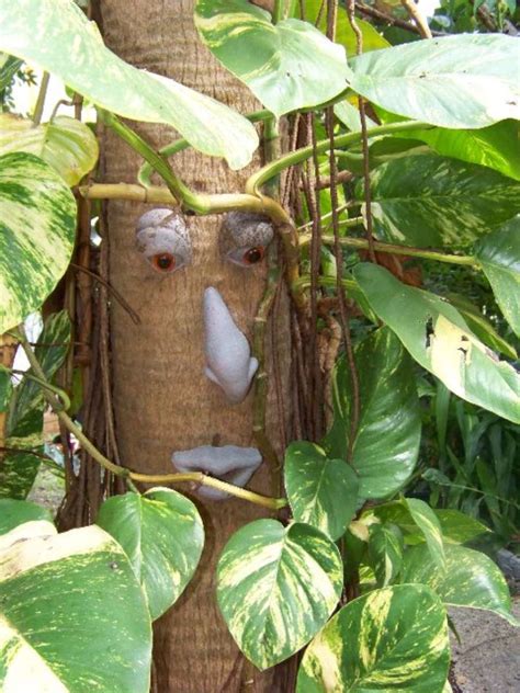 Halloween Tree Face Ideas DIY Store Bought The Holidays And Parties Guide