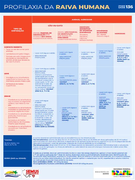 Profilaxia Da Raiva Humana 2023 Pdf